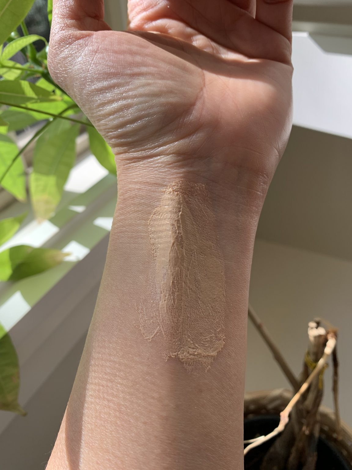Elta MD tinted sunscreen swatches and review - Redmond Mom